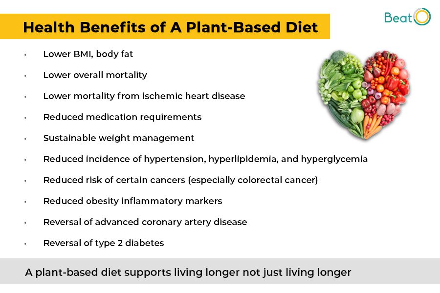 Effectiveness Of A Plant Based Diet For The Prevention Of Diabetes